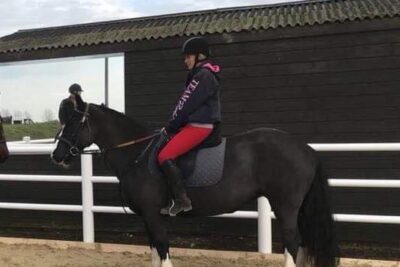 Meet The Horses - Kimblewick Equestrian Centre North Tuddenham